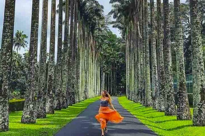 Kandy Private Transport with Sightseeing from Colombo - Experience Provider and Booking Details