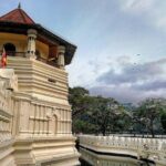 Kandy Sightseeing Day Tour from Colombo (All Inclusive) - An In-Depth Look at the Kandy Tour