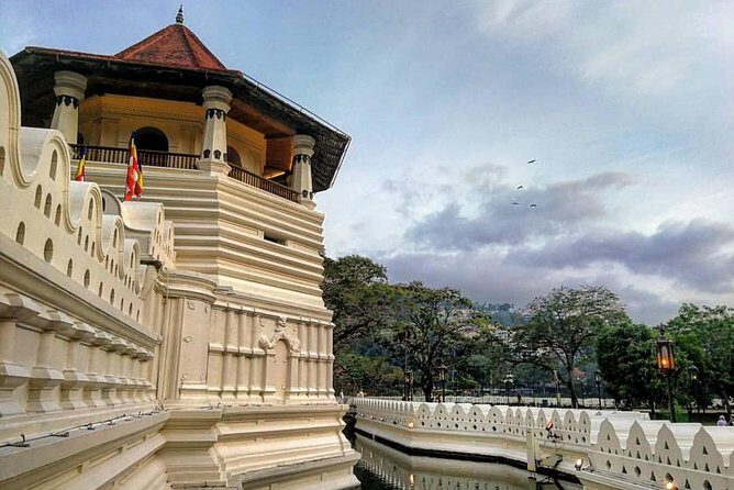 Kandy Sightseeing Day Tour from Colombo (All Inclusive) - An In-Depth Look at the Kandy Tour