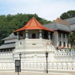 Kandy to Dambulla Cave Temple and Sigiriya - Day Tour - What Makes This Tour Stand Out?
