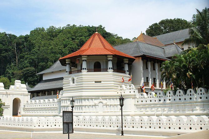 Kandy to Dambulla Cave Temple and Sigiriya - Day Tour - What Makes This Tour Stand Out?