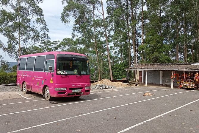 Kandy to Ella Day tour - Authentic Experiences and Real Traveler Feedback