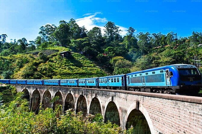 Kandy to Ella or Nanu Oya Scenic Train Reserved Seats - Who Is This Tour Best For?