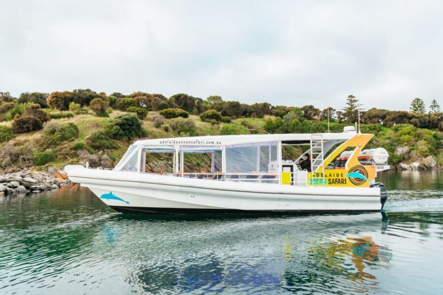 Kangaroo Island: 75-Minute Coastal Safari - Panorama of the Surroundings