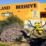 Kangaroo Island: Half-Day Tour Guided Coach Tour - Exploring Kangaroo Island: A Guide to the Tour