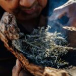 Kangaroo Island: Indigenous Day Tour - The Experience Value