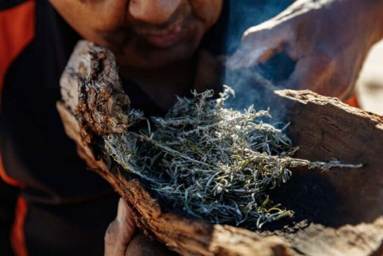Kangaroo Island: Indigenous Day Tour - The Experience Value