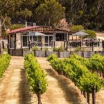 Kangaroo Island Premium Wine Tasting Tour - Is It Worth the Price?