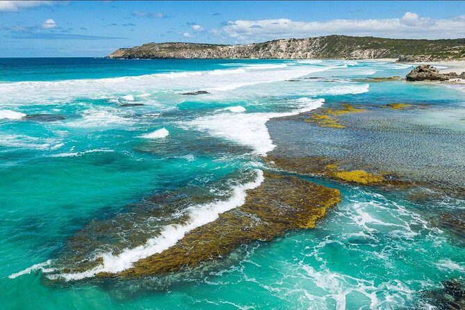 Kangaroo Island Shore Excursion Tasting Tour - For Cruise Ship Passengers Only - Final Thoughts: Balancing Value and Authenticity