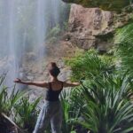 Kangaroos, Rainforest & Waterfalls Experience - Small Group - The Natural Bridge: A Must-See Wonder