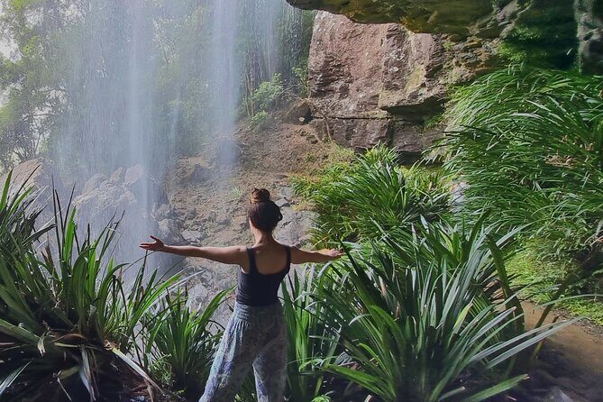 Kangaroos, Rainforest & Waterfalls Experience - Small Group - The Natural Bridge: A Must-See Wonder