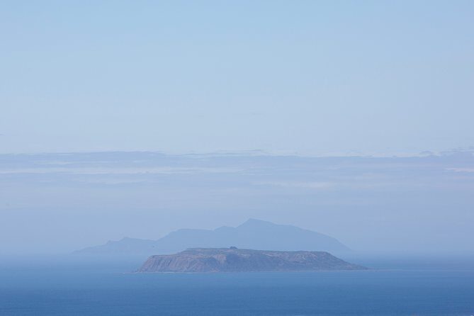 Kapiti Coast and Foxton Area Beaches Day Tour - A Deep Dive into the Kapiti Coast and Foxton Beaches Tour
