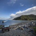 Kapiti Island: Classic Guided Day Tour - Why This Tour Offers Great Value