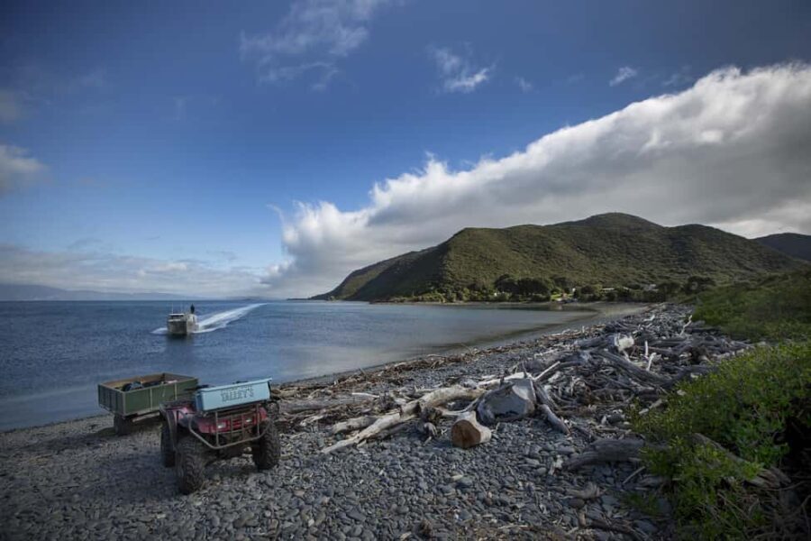 Kapiti Island: Classic Guided Day Tour - Why This Tour Offers Great Value