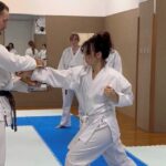 Karate Experience with the Shotokan Karate-do Instructor - The Itinerary and Experience Breakdown