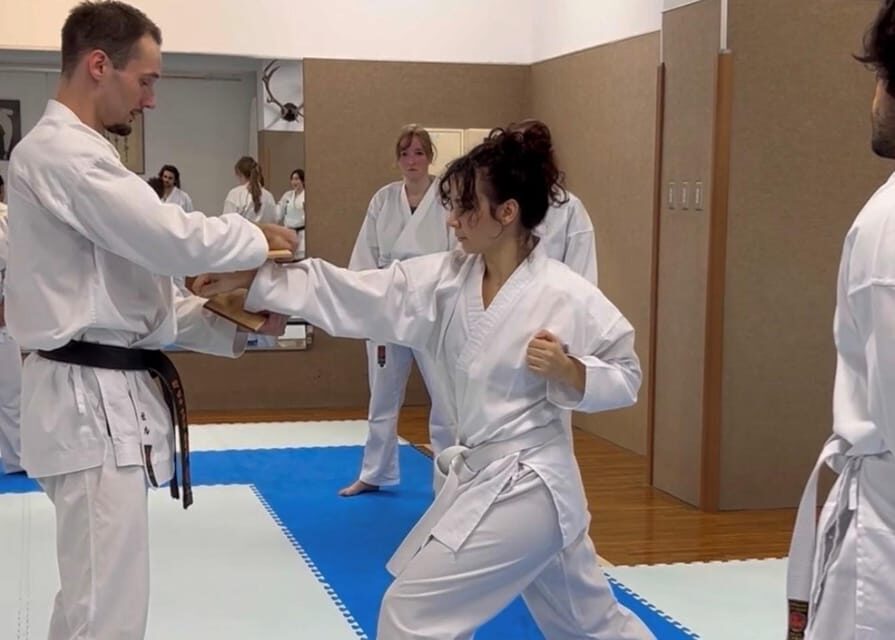 Karate Experience with the Shotokan Karate-do Instructor - The Itinerary and Experience Breakdown