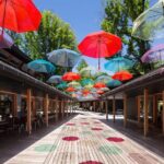 Karuizawa Half-Day Private Trip with Government-Licensed Guide - The Practical Side: What’s Included and What’s Not