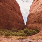 Kata Tjuta and Valley of the Winds - Who Will Love This Tour?
