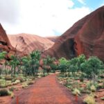 Kata Tjuta Private Guided Sunrise Tour - A Closer Look at the Experience