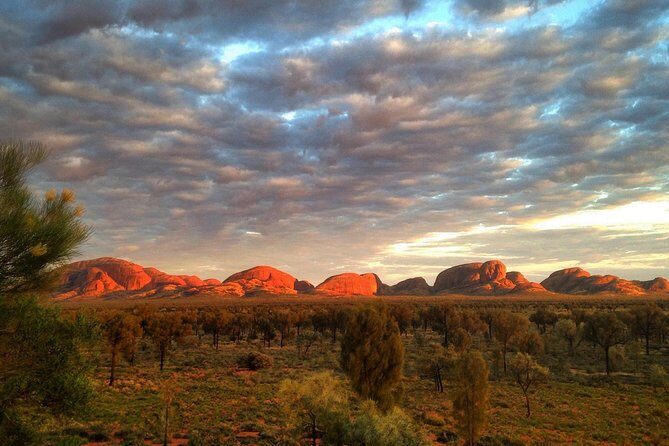 Kata Tjuta Small-Group Tour Including Sunrise and Breakfast - Authentic Insights from Travelers’ Reviews