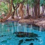 Katherine Gorge - Mataranka - Edith Falls - more... - Who Would Love This Tour?