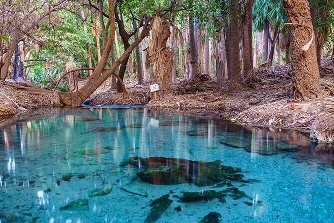 Katherine Gorge - Mataranka - Edith Falls - more... - Who Would Love This Tour?