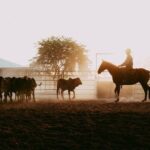 Katherine Outback Experience Show Ticket - The Venue and Practical Details