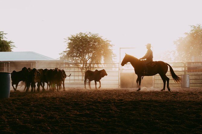 Katherine Outback Experience Show Ticket - The Venue and Practical Details