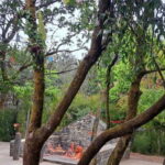 Kathmandu: Champadevi Hill Guided Hike with Lunch - Visiting Taudaha Lake: A Peaceful End