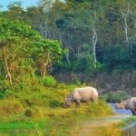 Kathmandu & Chitwan: A 6-Day Nepal Adventure - Practical Details and Value