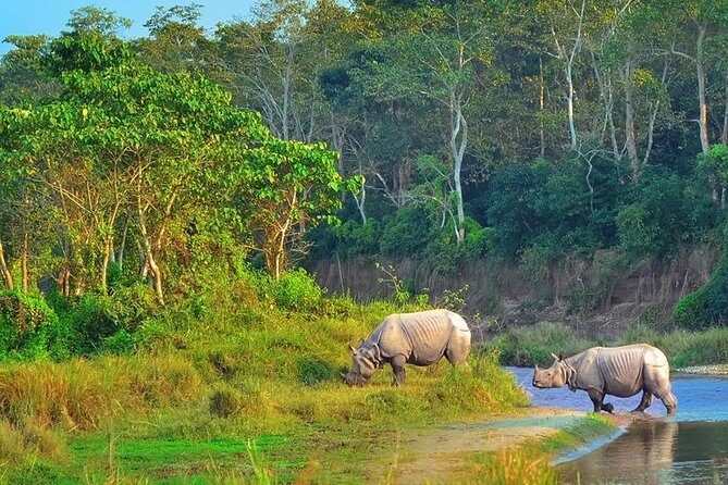 Kathmandu & Chitwan: A 6-Day Nepal Adventure - Practical Details and Value