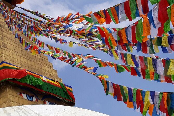 Kathmandu Cultural Tour and Wildlife in Bardia - From Culture to Wilderness: Transitioning to Bardia
