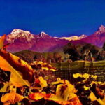 Kathmandu: Rapid Ghorepani Poon Hill Trek with Guide - What You Can Expect on This Trek