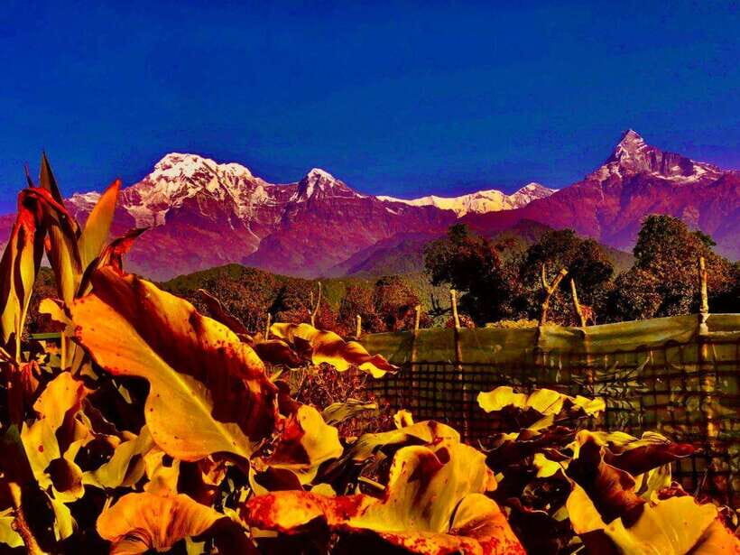 Kathmandu: Rapid Ghorepani Poon Hill Trek with Guide - What You Can Expect on This Trek