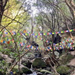 Kathmandu: Shivapuri Hill Day Hike with Lunch box - Authentic Reviews and Perspectives