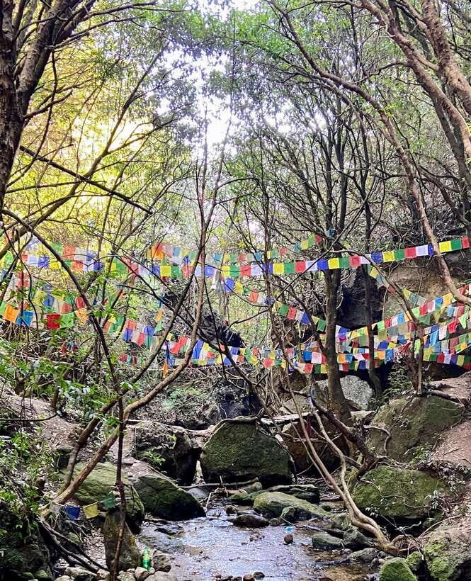 Kathmandu: Shivapuri Hill Day Hike with Lunch box - Authentic Reviews and Perspectives
