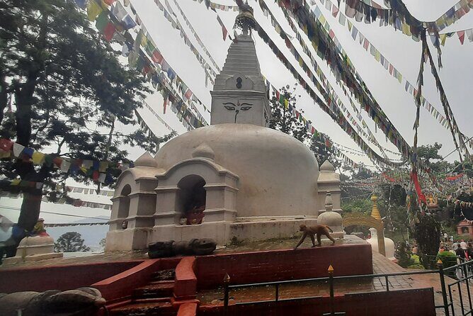 Kathmandu Valley Day Tour: 2 or 4 UNESCO Heritage Sites Option - Practical Details and Value