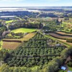 Katikati Avocado Adventure - Final Thoughts