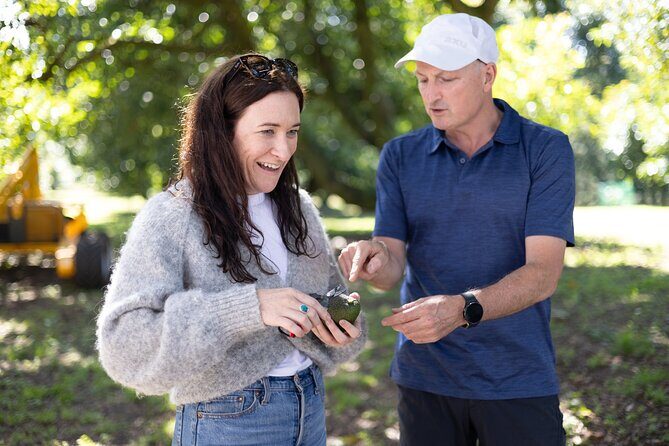 Katikati Gourmet Avocado Tasting - Is It Worth the Price?