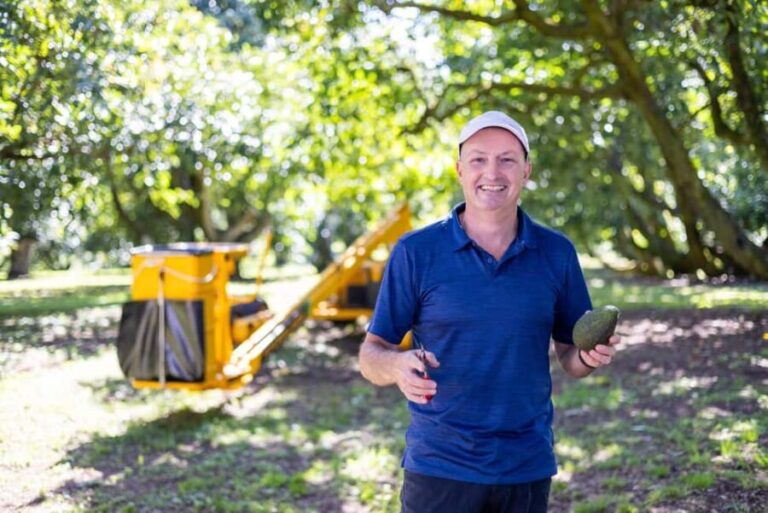 Katikati: Guided Avocado Adventures with Tasty Treats - Key Points