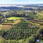 Katikati: Guided Gourmet Avocado Tour - Who Should Consider This Tour?