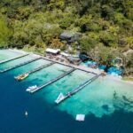 Katoa Jet Boat & Lake Rotoiti Hot Pools - The Itinerary in Detail