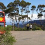 Katoomba: Blue Mountains Full-Day Hop-On Hop-Off Bus Tour - What to Expect at Each Stop