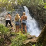 Kauai East Side and North Shore: Waterfalls & Beaches Tour - What to Expect from the Experience