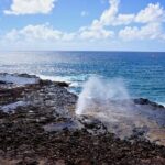 Kauai Full Day Tour with Cruise ships or Kauai Airport Pickup - What Does It All Mean for You?