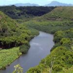 Kauai Northeast Tour, Fern Grotto River Cruise & Lighthouse - What to Expect on the Day