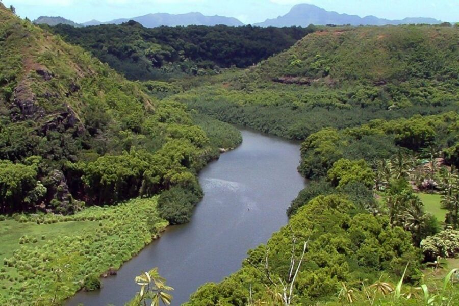 Kauai Northeast Tour, Fern Grotto River Cruise & Lighthouse - What to Expect on the Day