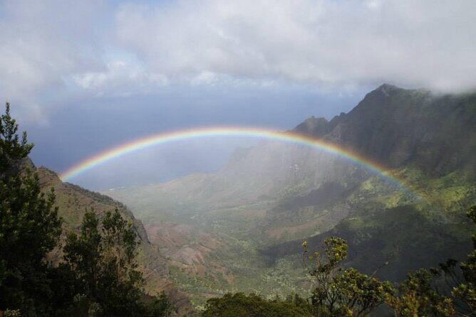Kauai's Waimea Canyon and South Side Private Guided Tour - Analyzing the Value for Money