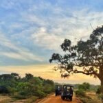 Kaudulla national park from Colombo inclusive of jeep safari - Detailed Breakdown of the Tour Experience