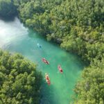 Kayak adventure through Laguna Nichupté in Cancun - Why This Tour Is Worth Your While